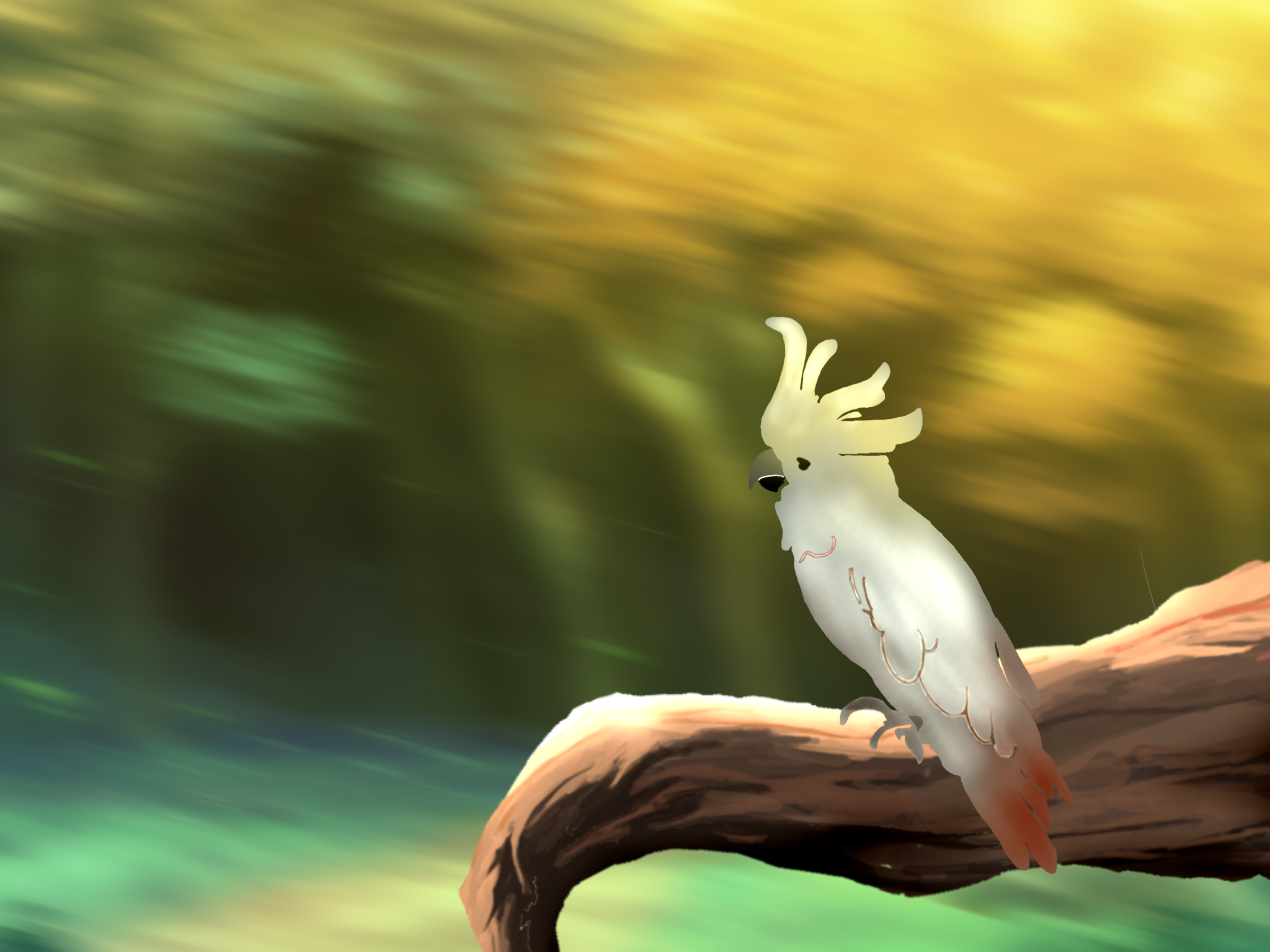 White Bird - ibisPaint