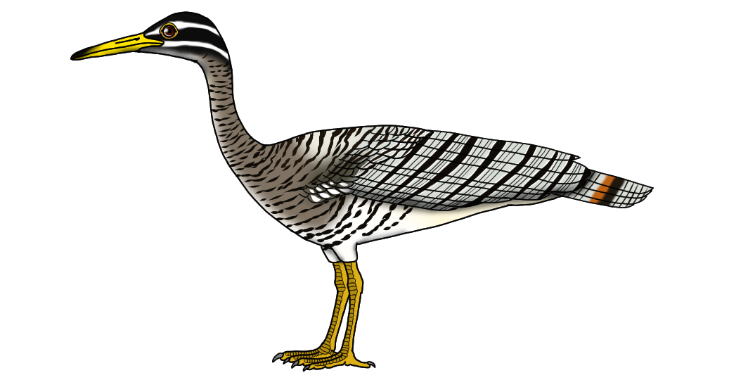 Sawintiran Sunbittern render - ibisPaint