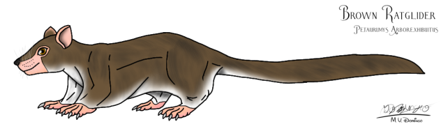 Brown Ratglider - ibisPaint