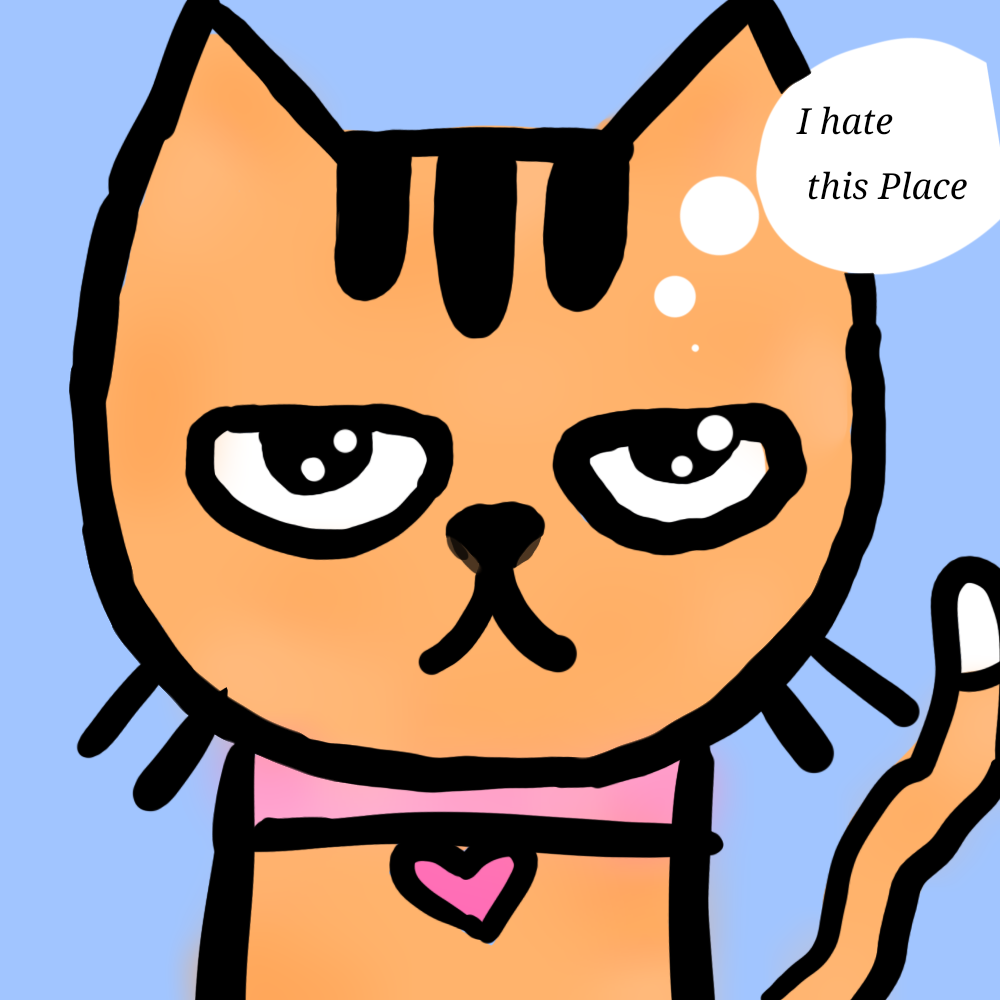 GRUMPY CAT - ibisPaint