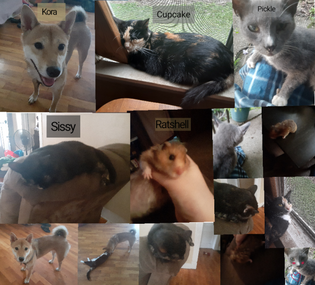 Animals!!! - ibisPaint