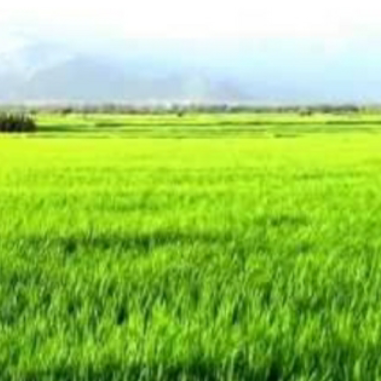 Ms. lamia - ibisPaint