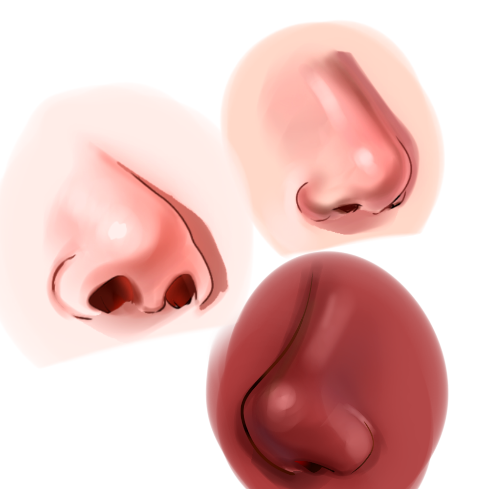 nose practice again - ibisPaint