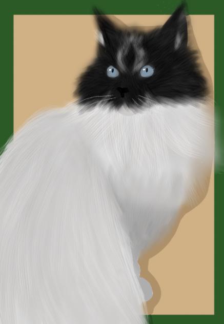 the cat - ibisPaint