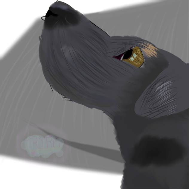 I drew my dog - ibisPaint