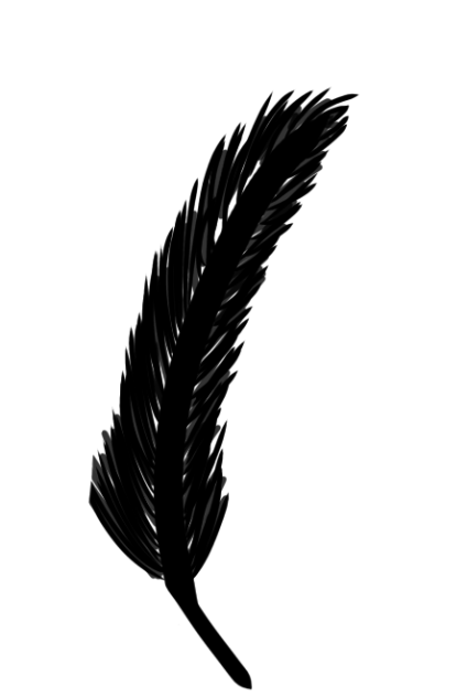 feather - ibisPaint