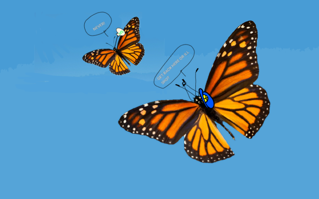 Police butterflies - ibisPaint