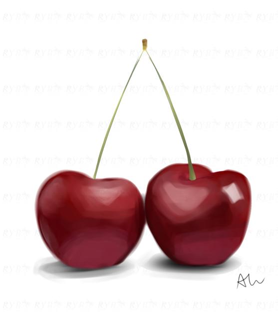 cherry - ibisPaint