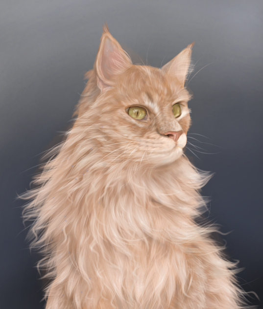 cat😺 - ibisPaint