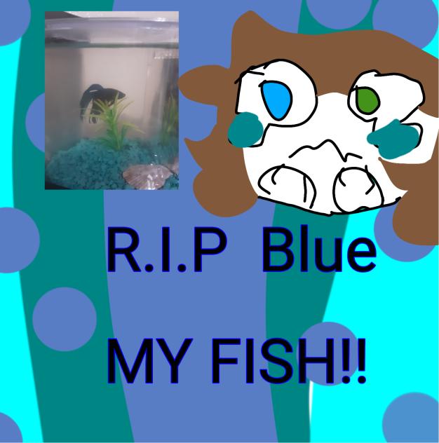 MY FISHY - ibisPaint