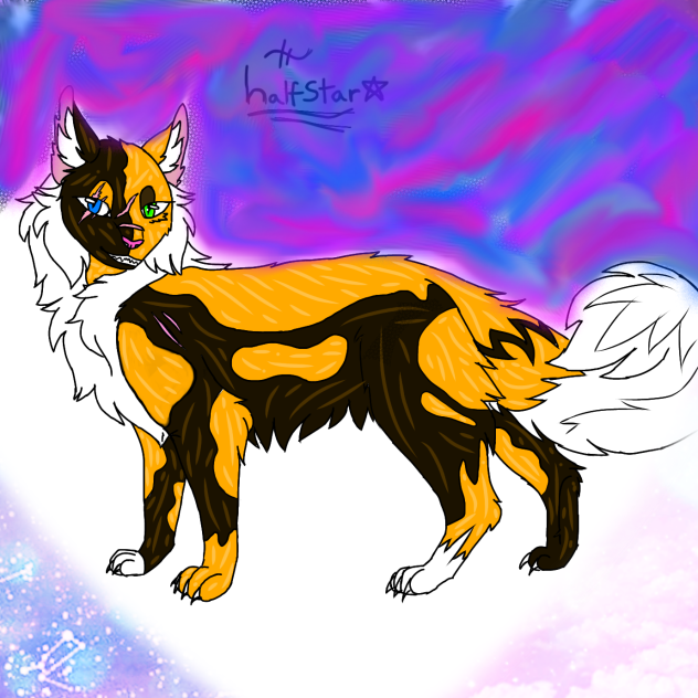 half Star warrior cats - ibisPaint