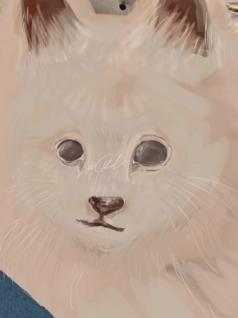 My Dog - ibisPaint