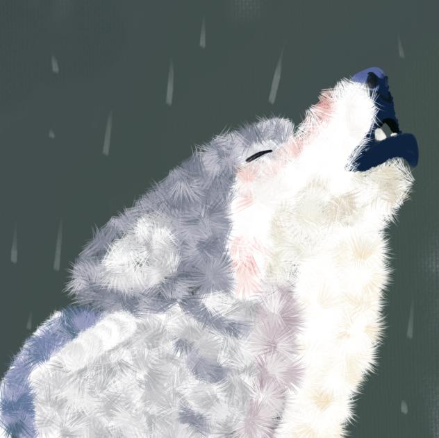 wolf - ibisPaint