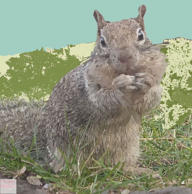 Squirrel - ibisPaint