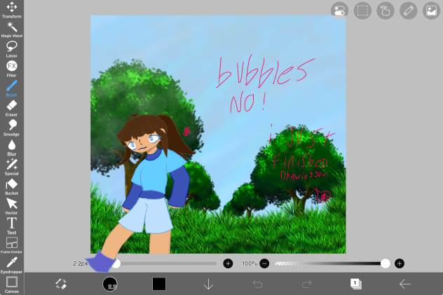 Bubbles escaped request - ibisPaint