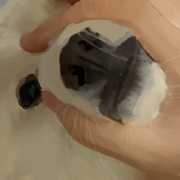 無題392 - ibisPaint