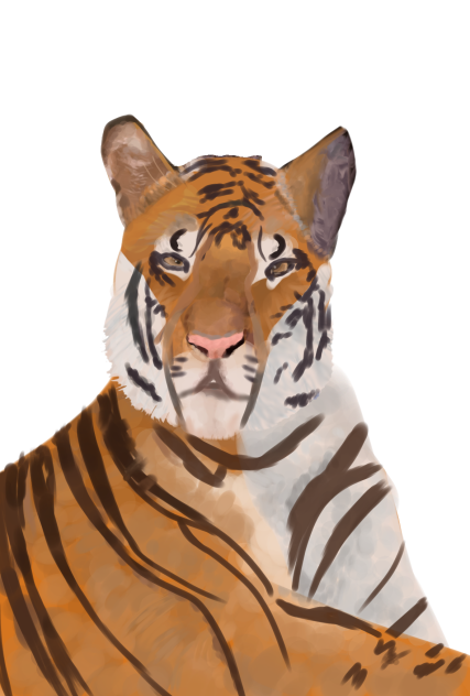 Tiger - ibisPaint