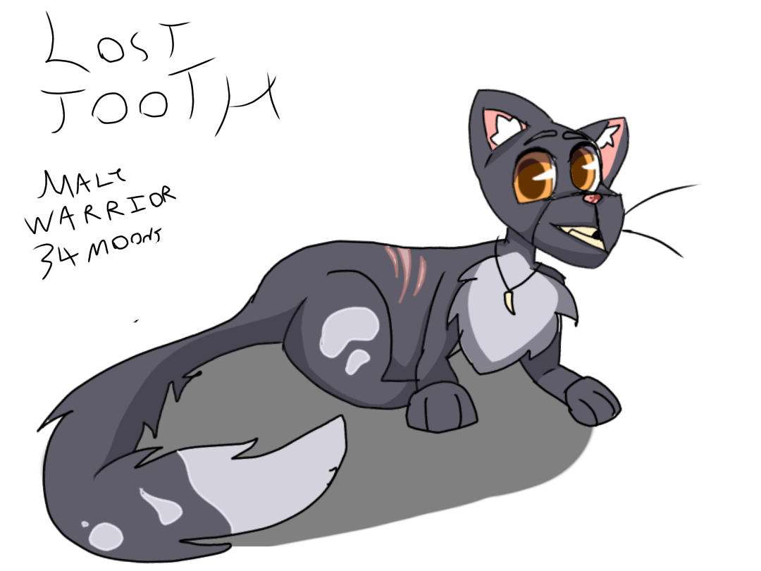 Warrior cats - ibisPaint