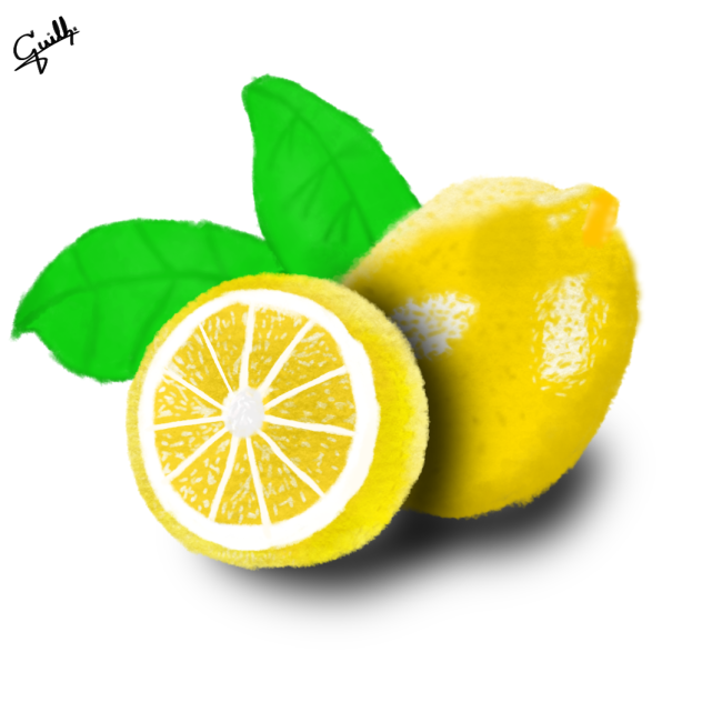 lemon - ibisPaint