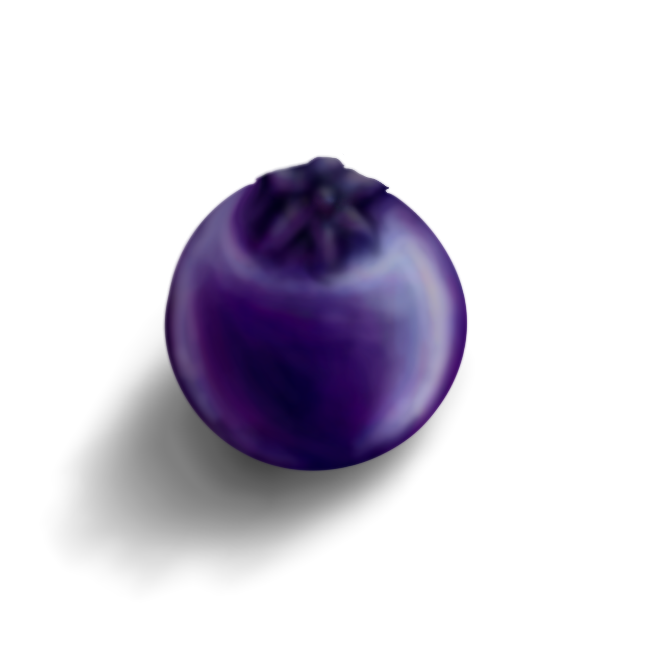 Blueberry - ibisPaint