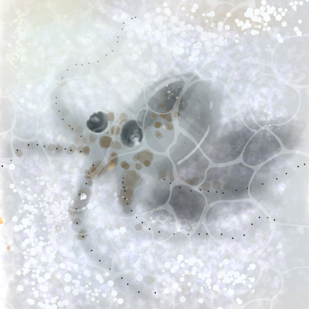 Squid fish - ibisPaint