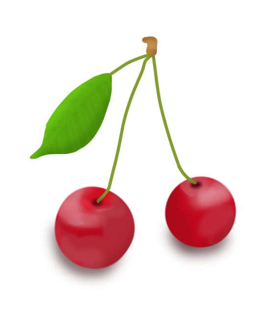 Realistic cheeries - ibisPaint