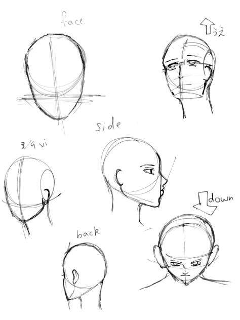 face angles - ibisPaint