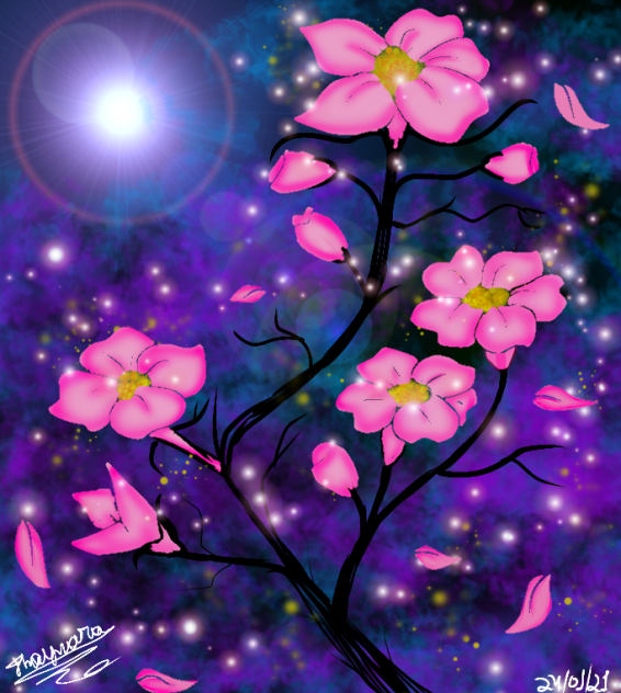 Cherry Blossoms - ibisPaint