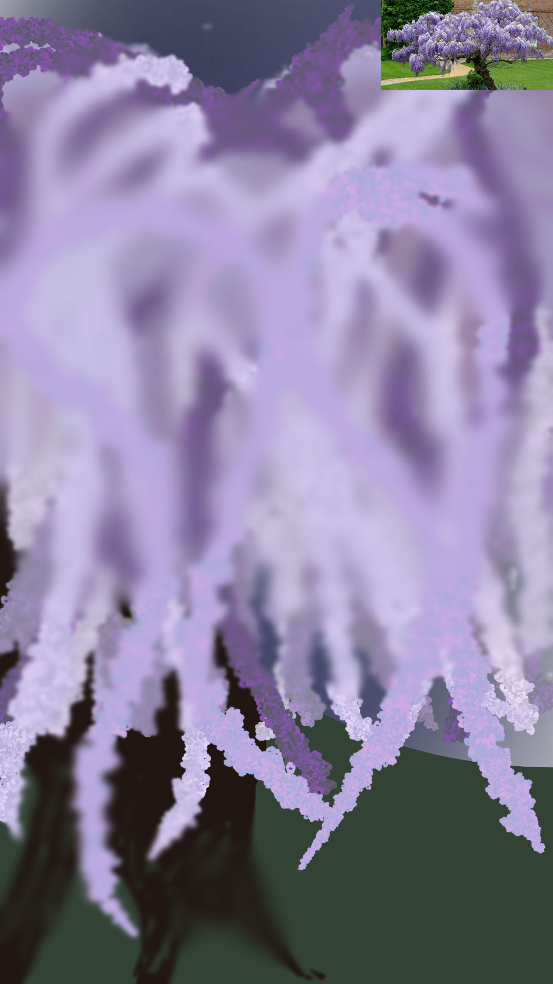 °Wisteria Tree° - ibisPaint