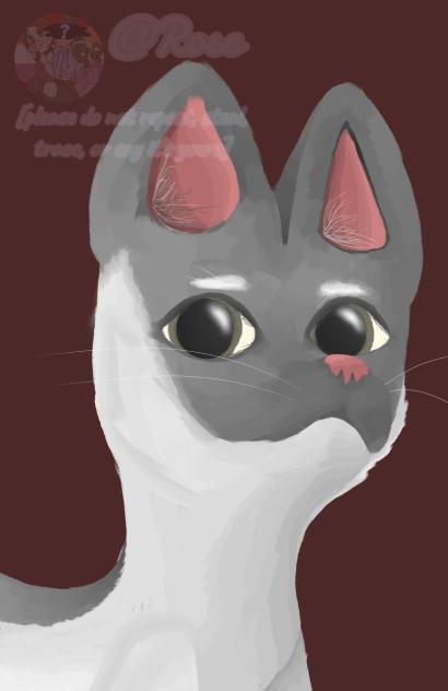 Realistic Kitty! - ibisPaint