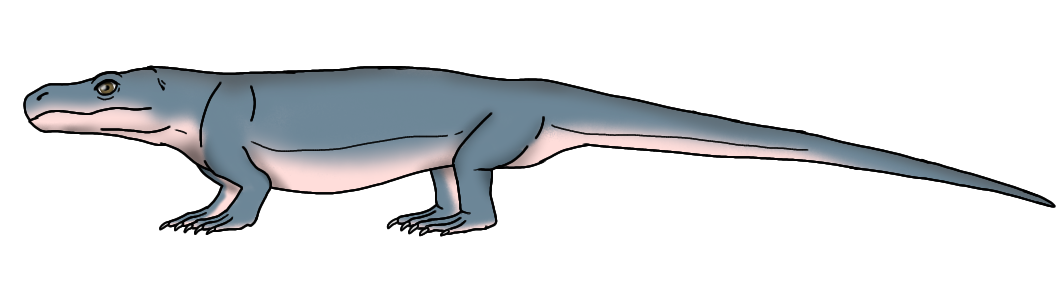 Limnoscelis paludis render - ibisPaint