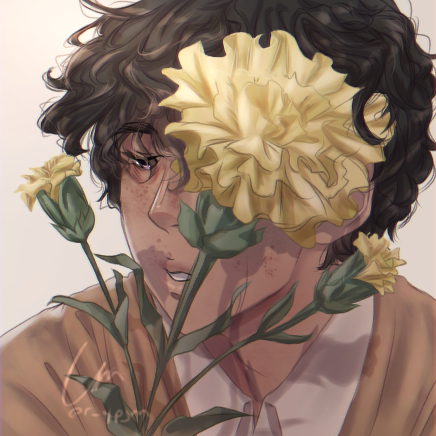 carnation - ibisPaint