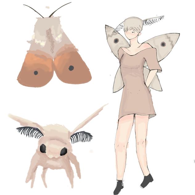 MOTH - ibisPaint
