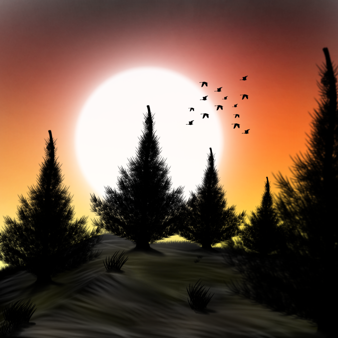 sillhouette pine trees - ibisPaint