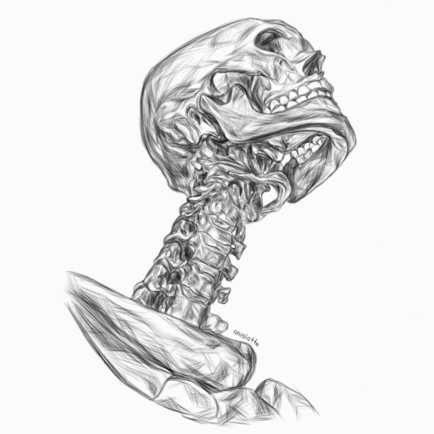 skull study - ibisPaint