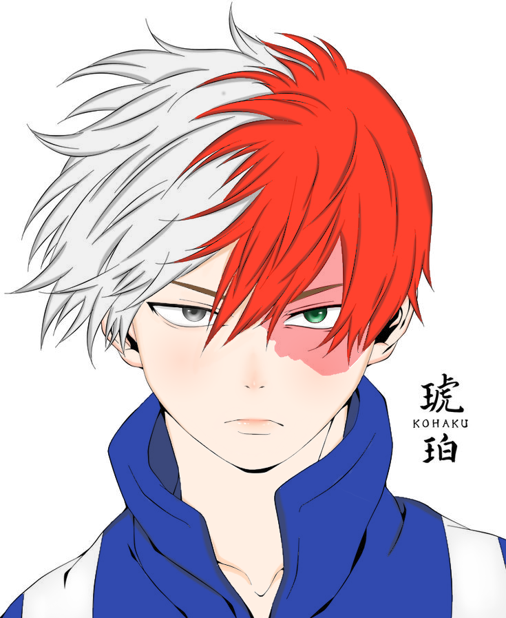 todoroki shoto - ibisPaint