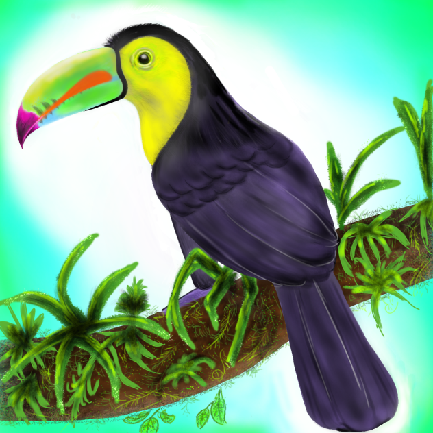 Toucan - ibisPaint