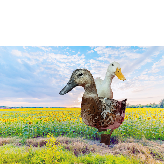 Misha & Kiwi - ibisPaint