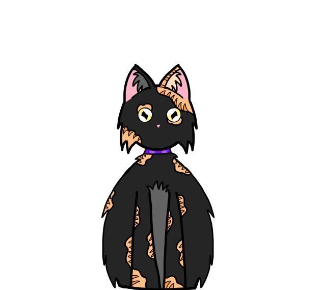 Random cat drawing 1 - ibisPaint