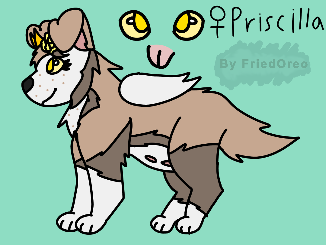 Priscilla - ibisPaint