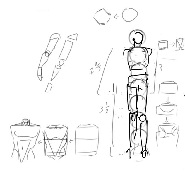 Practice simplifying body - ibisPaint