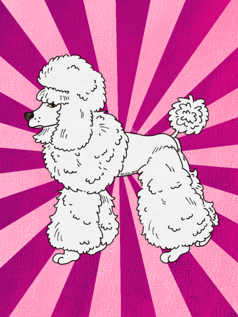 Fancy dog - ibisPaint