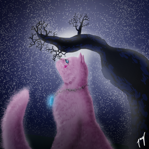 Windfeather Night - ibisPaint