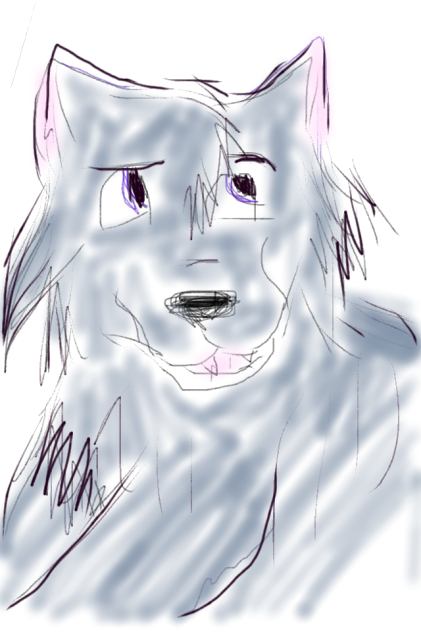 grey wolf speed paint - ibisPaint