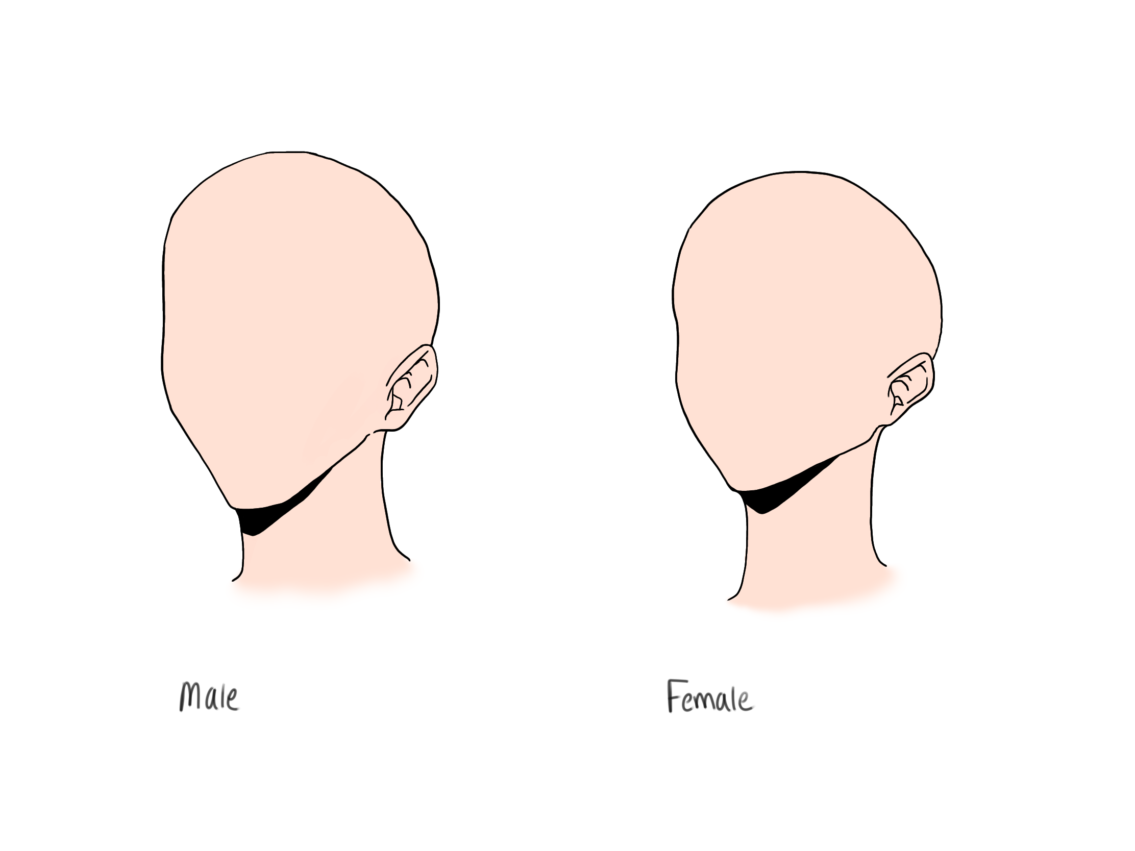 -Some Simple Head Bases- - ibisPaint