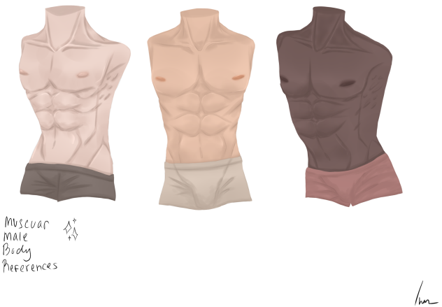 Muscular Male Body References - ibisPaint