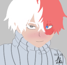 Soft Todoroki - ibisPaint