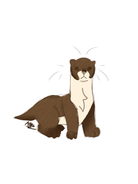 Otter - ibisPaint