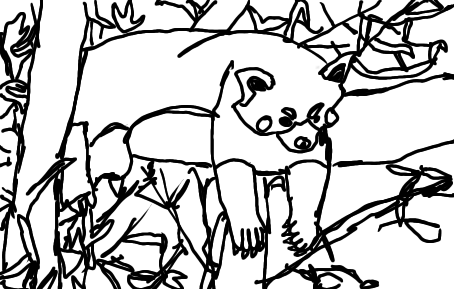 red panda traced coloring page - ibisPaint