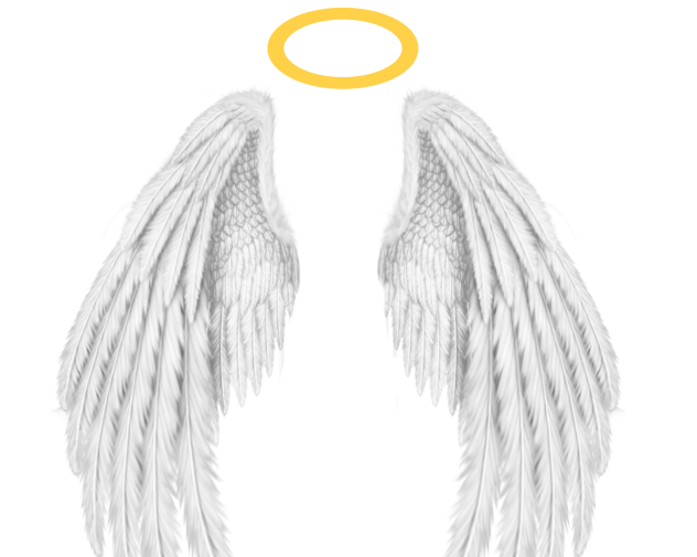 Angel Wings And Halo - ibisPaint